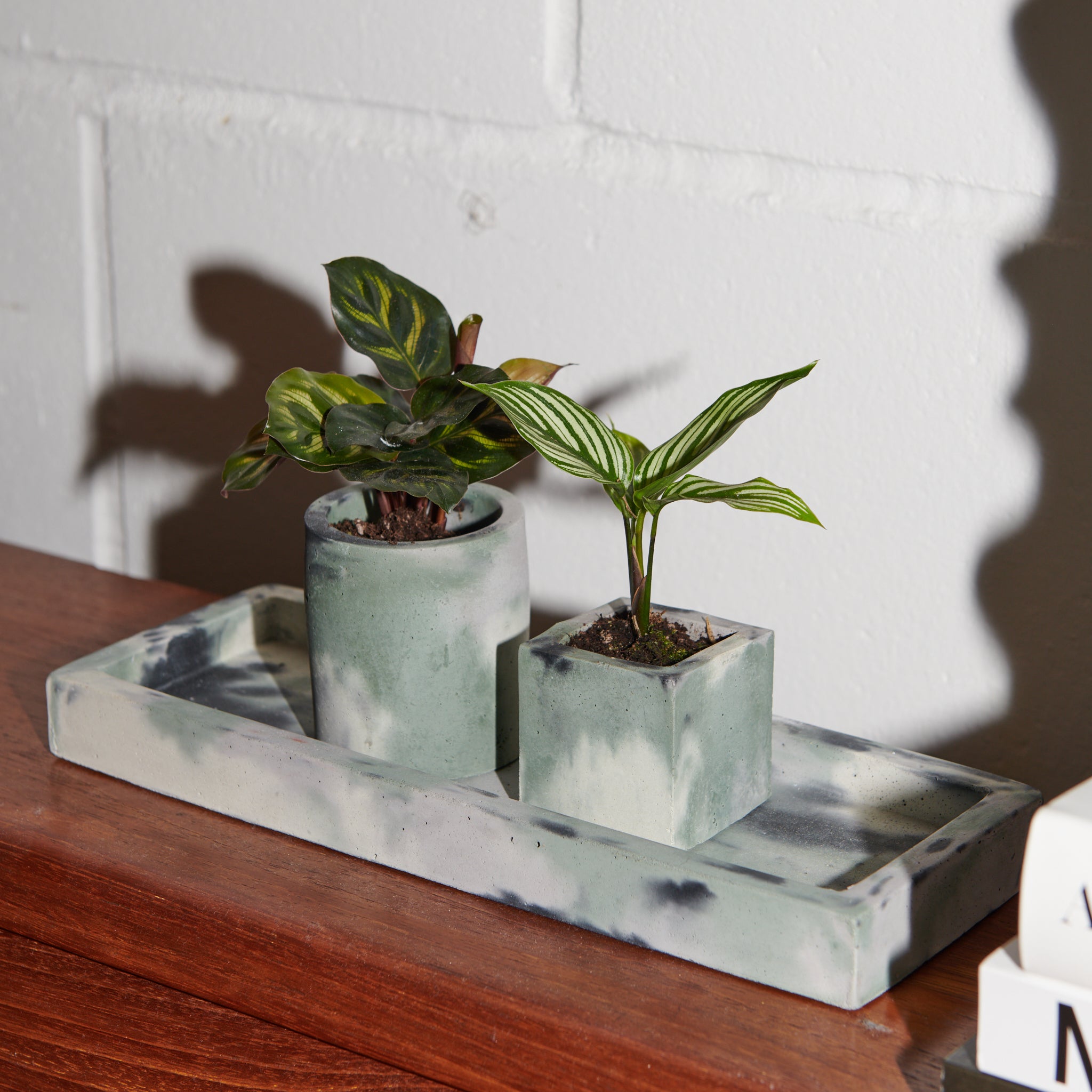 Rectangle Concrete Tray – Smith & Goat
